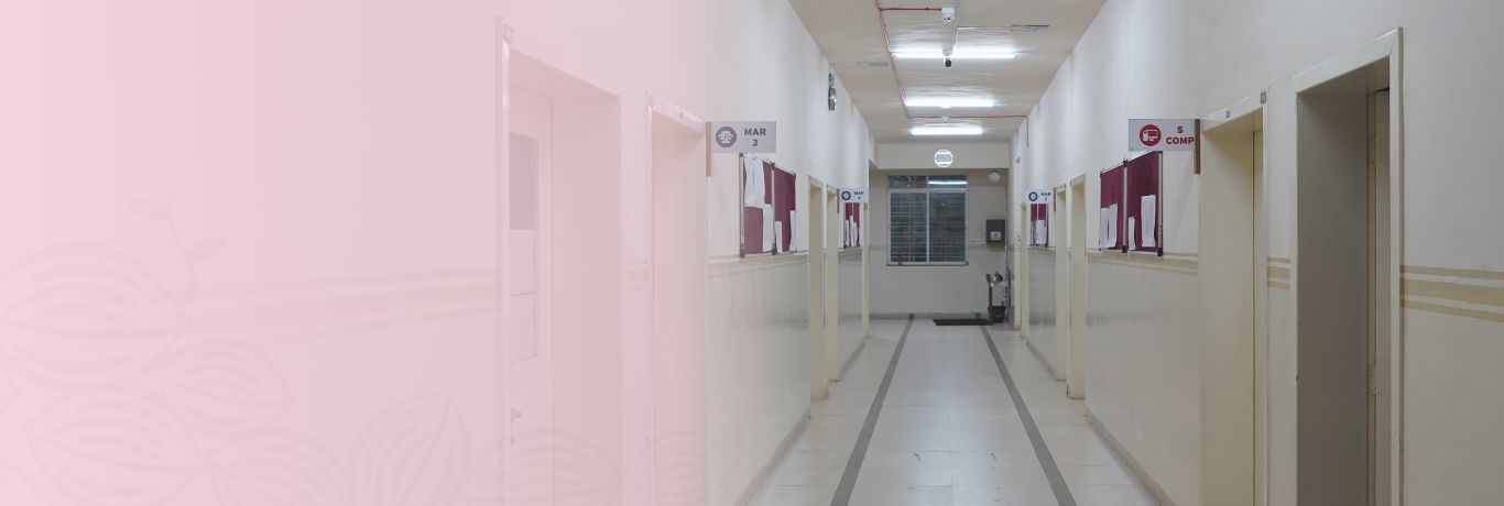 Core Subjects | Walnut School