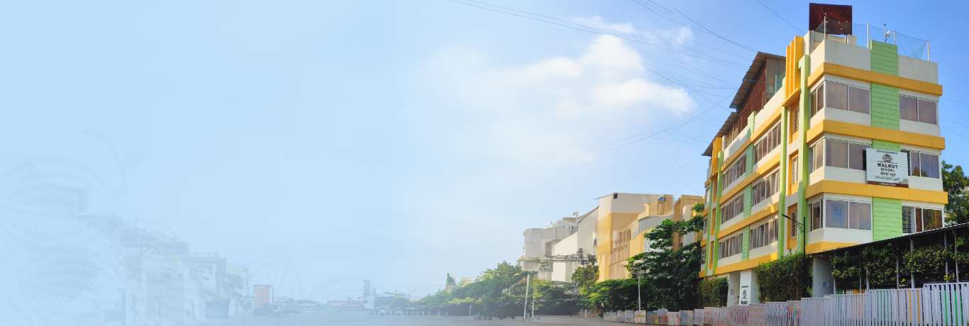 Wakad Infrastructure & timing | Walnut School