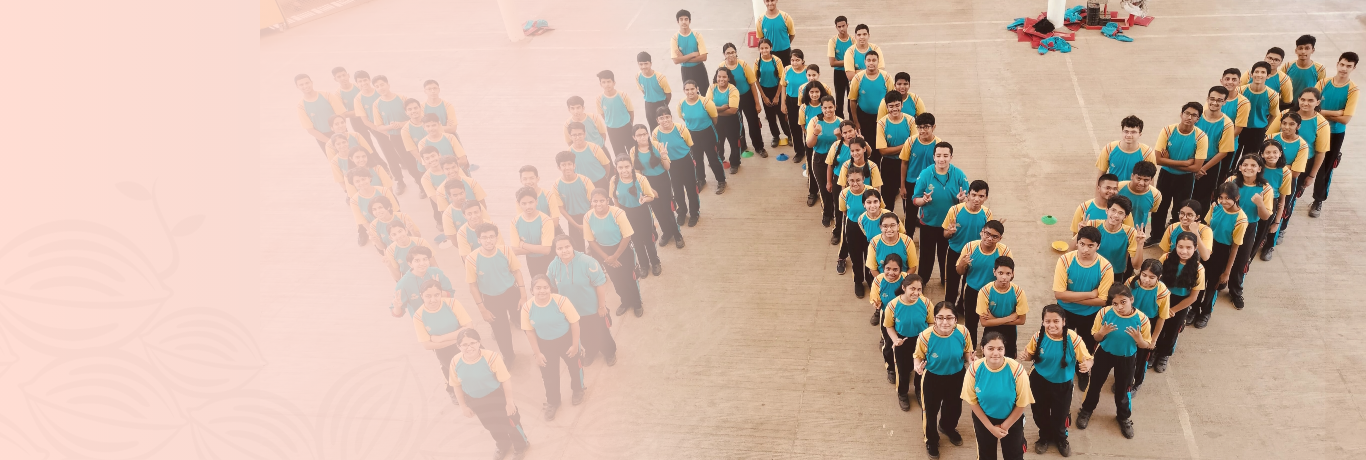 Alumni | Walnut School