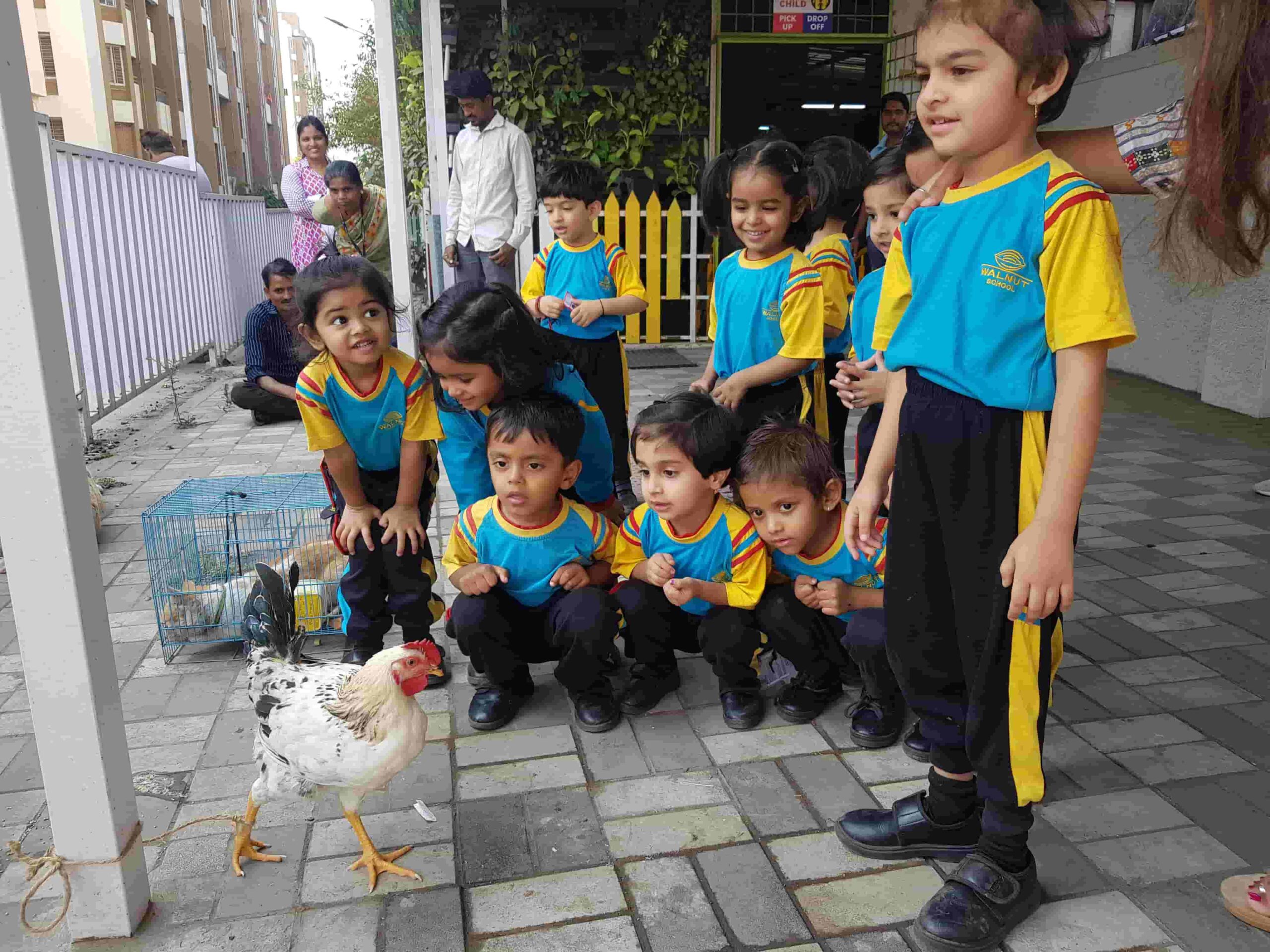 Magical Petting Day: A Heartwarming Experience