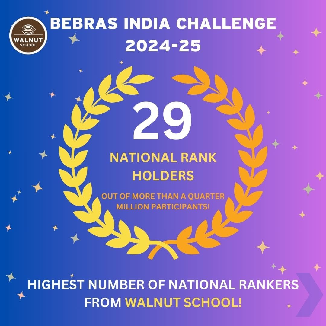 Walnut School's Bebras Champions 2024