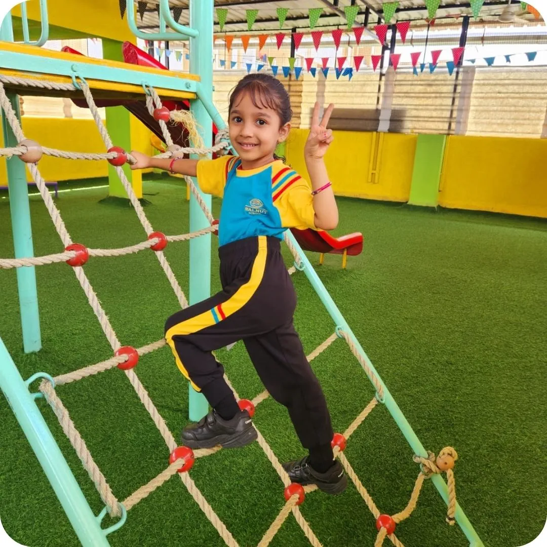 Baby Walnut Events | Walnut School