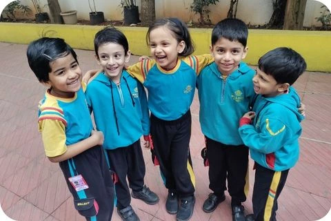 Baby Walnut Concepts | Walnut School