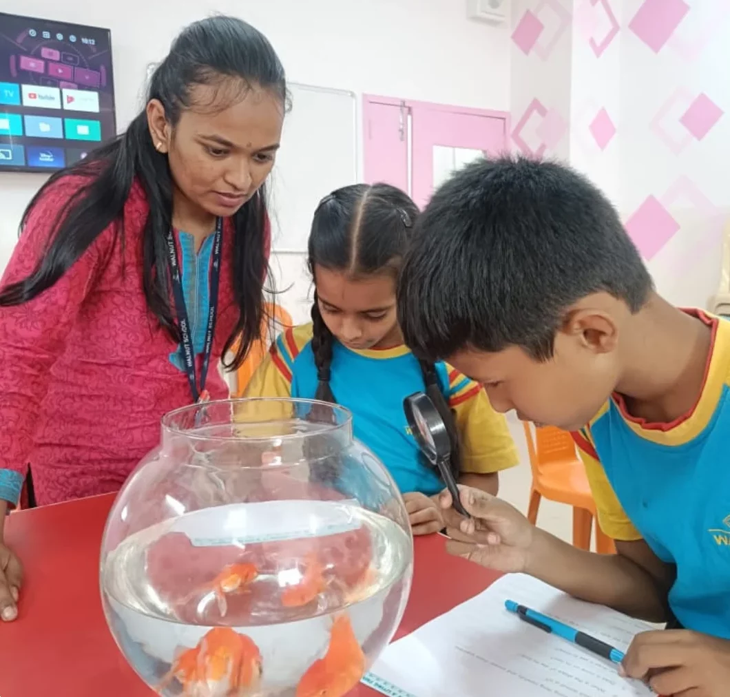 Hands On | Walnut School